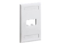 Panduit Classic Series Faceplate - faceplate - CFPL2IGY - Ethernet ...