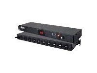 CPI Horizontal Power Strip with Amp Metering - power distribution strip ...