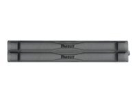 Panduit TLBP2S-V Blanking Panel - TLBP2S-V - Rack Accessories - CDW.com