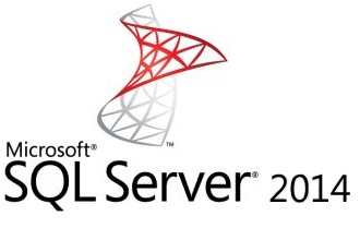 NIH EA SQL Server Standard Dual Core Edition Lic/SA - 7NQ-00302-NIH2 ...