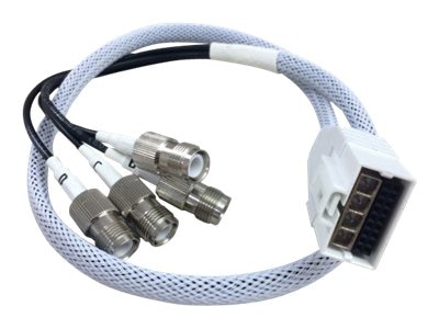 Cisco antenna cable - 2 ft - AIR-CAB002-DART-R= - Network Antennas ...