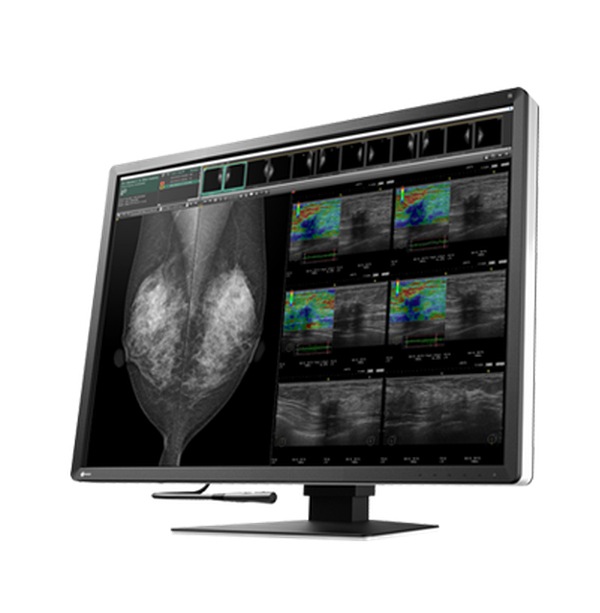 EIZO RadiForce RX1270 30.9" 12MP Color LCD Monitor - RX1270-SH-NP200 ...