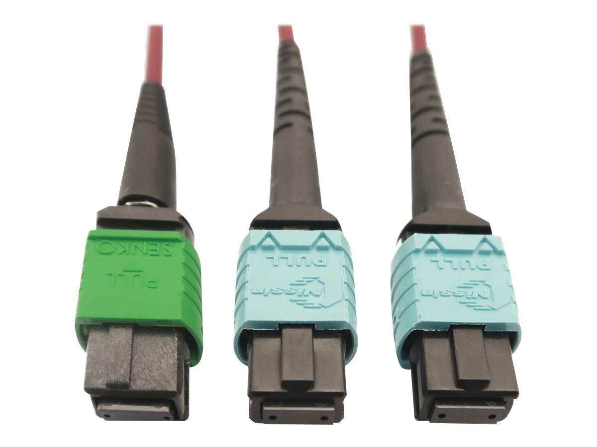 Tripp Lite MMF Fiber Optic Cable MTP/MPO-APC to x2 12F MTP/MPO-UPC F/F ...
