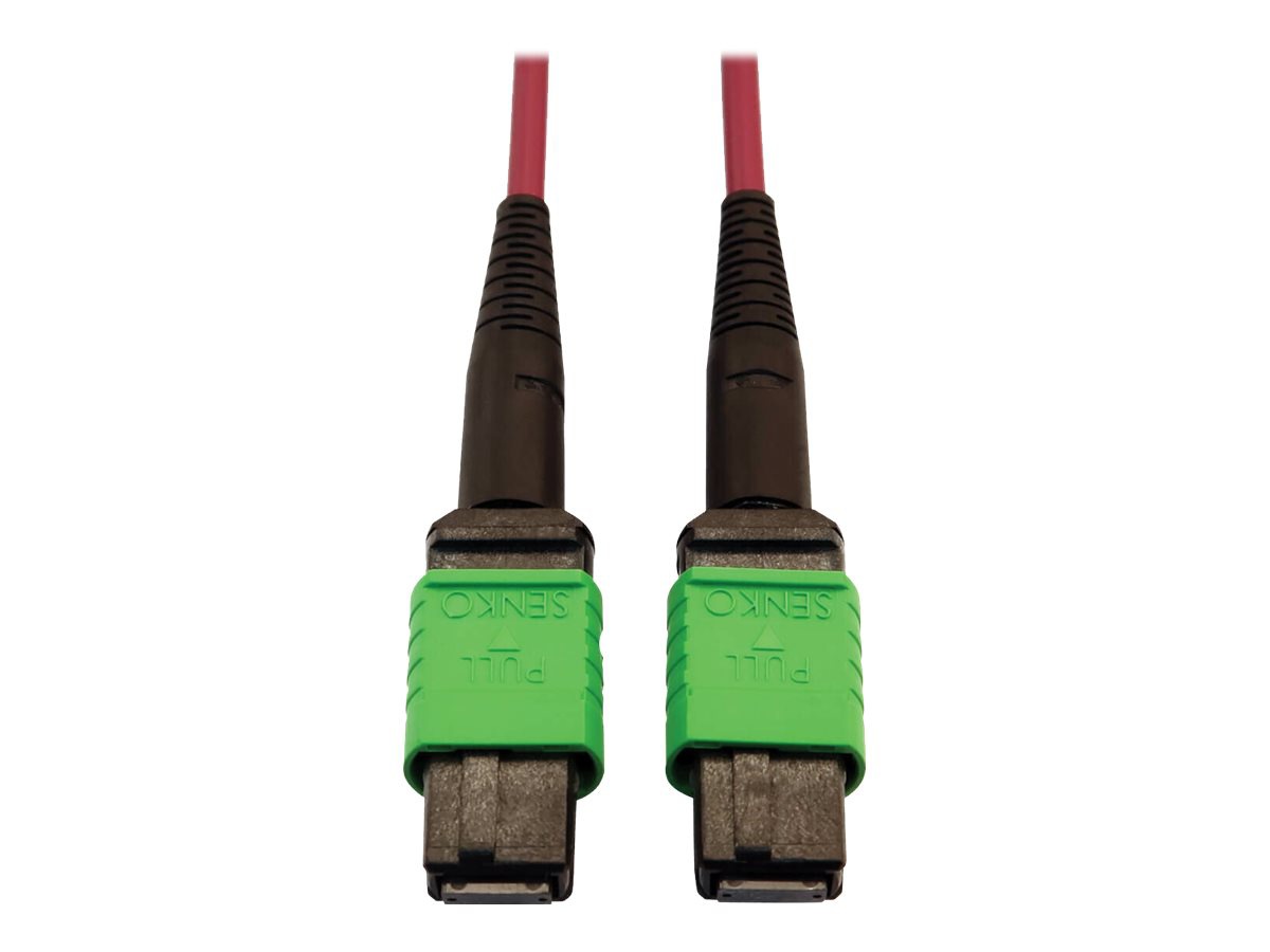 Tripp Lite Multimode Fiber Optic Cable 400G OM4 Plenum MTP/MPO-APC F/F ...