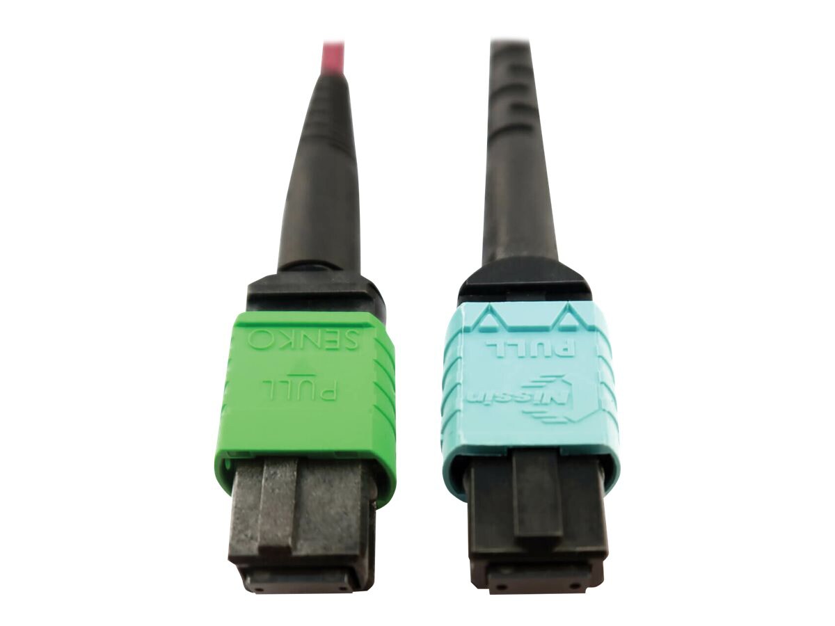 Tripp Lite MMF Fiber Optic Cable 400G MTP/MPO-APC to 24F MTP/MPO-UPC F ...