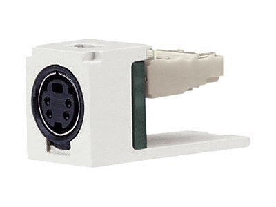 Panduit MINI-COM video / audio connector - S-Video - CJSVIW - Network ...