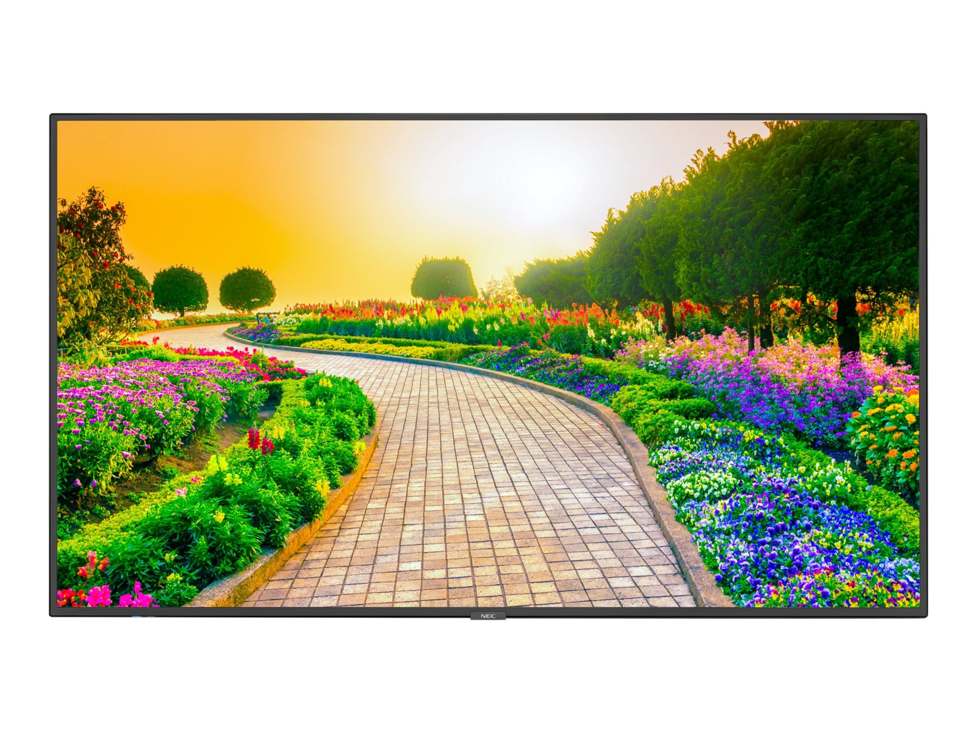 NEC MultiSync M431-AVT3 M Series - 43" LED-backlit LCD display - 4K - for digital signage - M431 ...