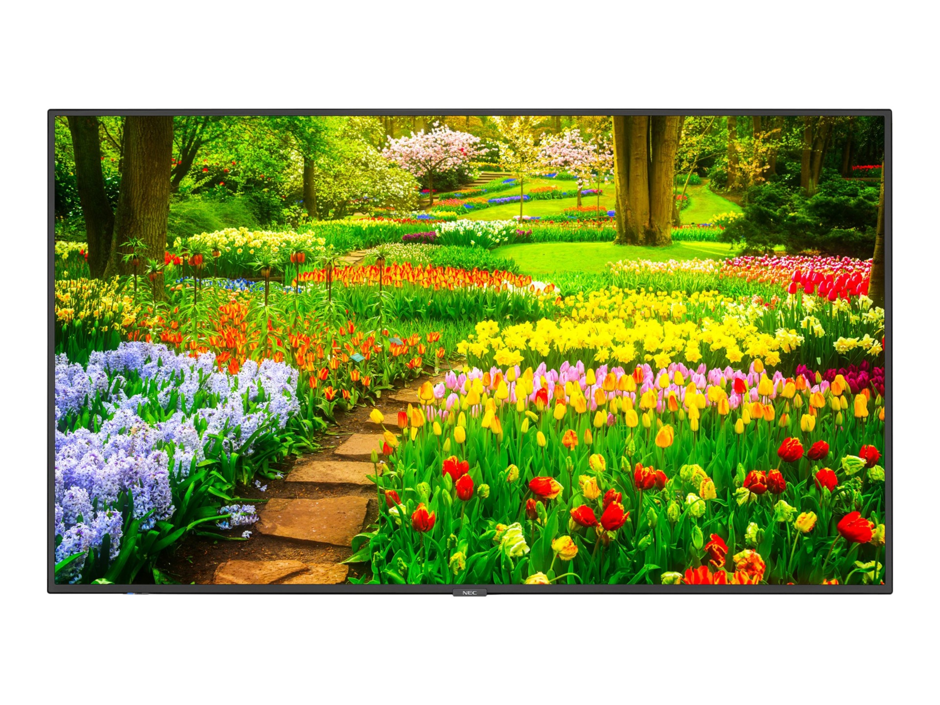 NEC MultiSync M491-IR M Series - 49" LED-backlit LCD display - 4K - for ...