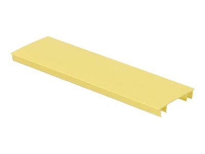 Panduit FiberRunner 2x2 Routing System - cable raceway cover - HC2YL6 ...