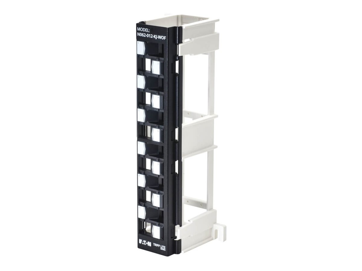 Eaton Tripp Lite Series 12-Port Cat6a Wall-Mount Patch Panel - PoE+ ...