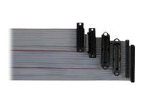 Black Box Flat (Ribbon) Cable - serial / parallel cable - DB-50 to DB ...