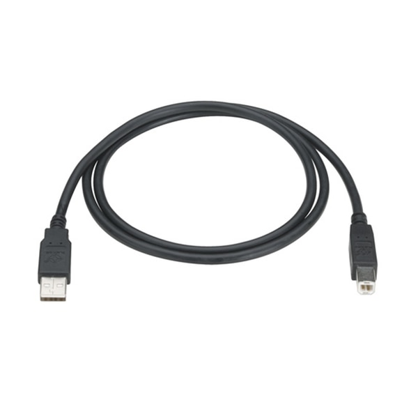 Black Box 10' USB 2.0 Type-A Male to Type-B Male Cable - USB05-0010-R2 ...