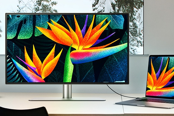 BenQ Monitors | Interactive Displays & Esports Solutions | CDW